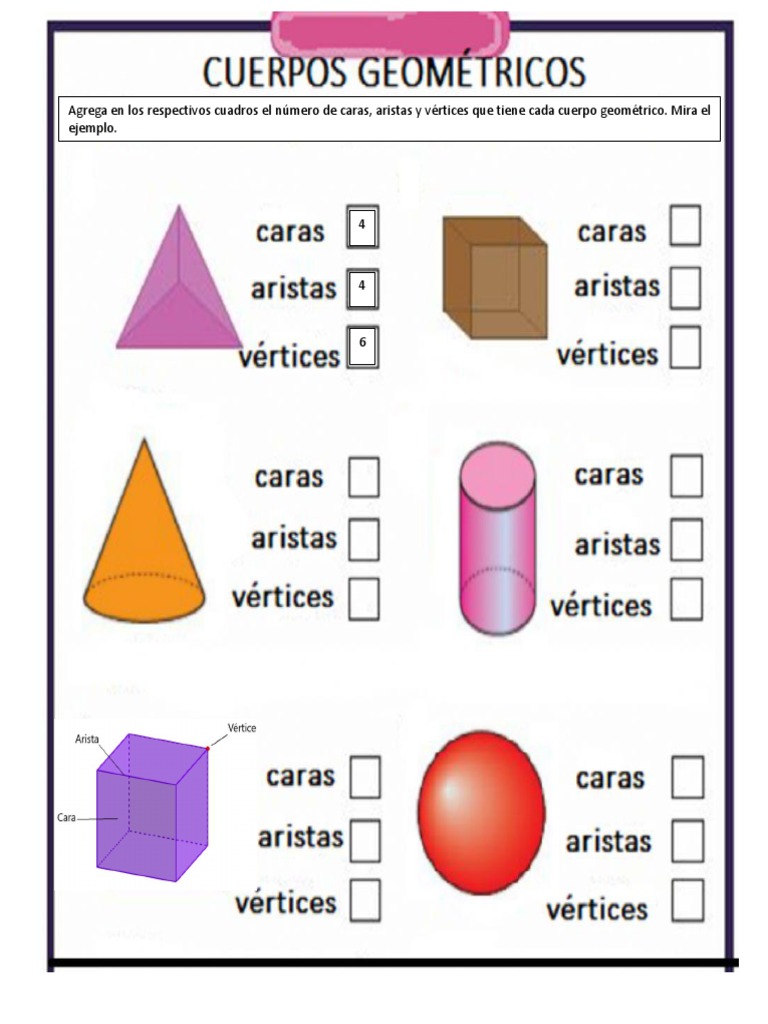 Cuerpos Geométricos: Caras, Aristas y Vértices | PDF