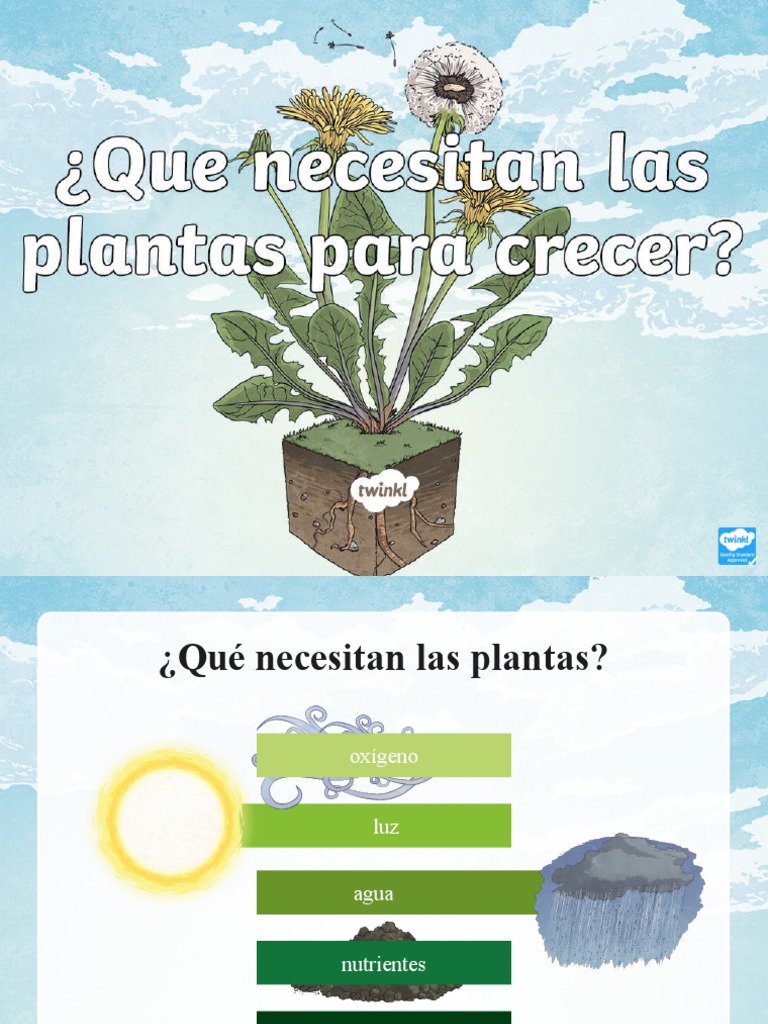 Presentacion Que Necesitan Las Plantas | PDF