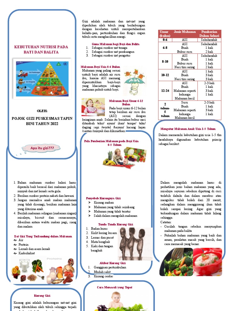 Leaflet Nutrisi Pada Anak | PDF
