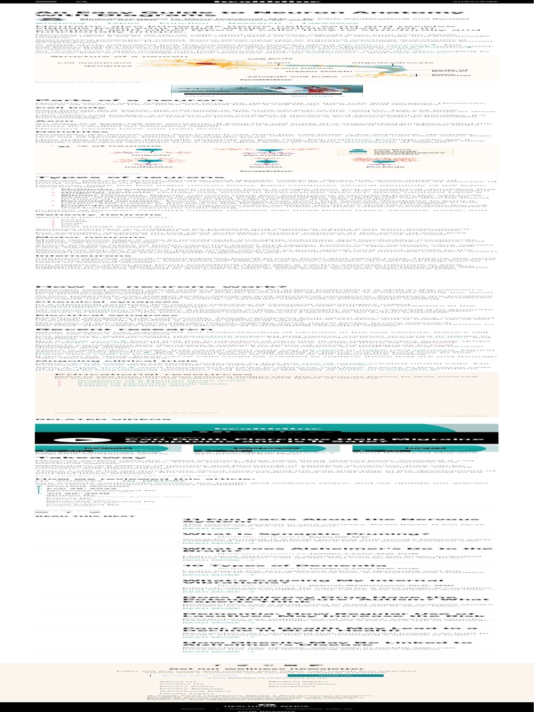 What Is A Neuron Diagrams, Types, Function, and More PDF | PDF