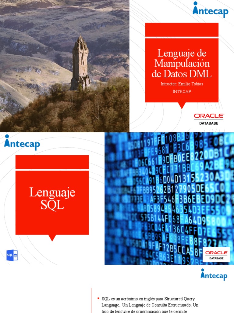 Lenguaje DML-SQL - PPSX | PDF