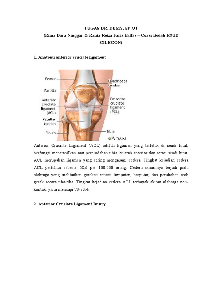 Tugas Dr. Demy, SP - Ot PDF | PDF