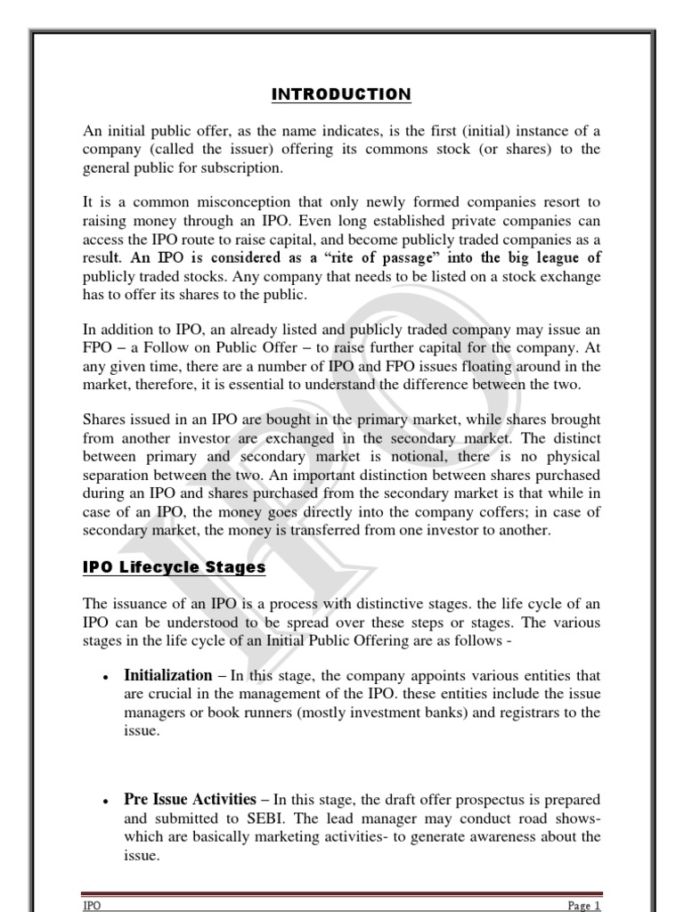 Everything You Need to Know About IPOs | PDF | Initial Public Offering ...