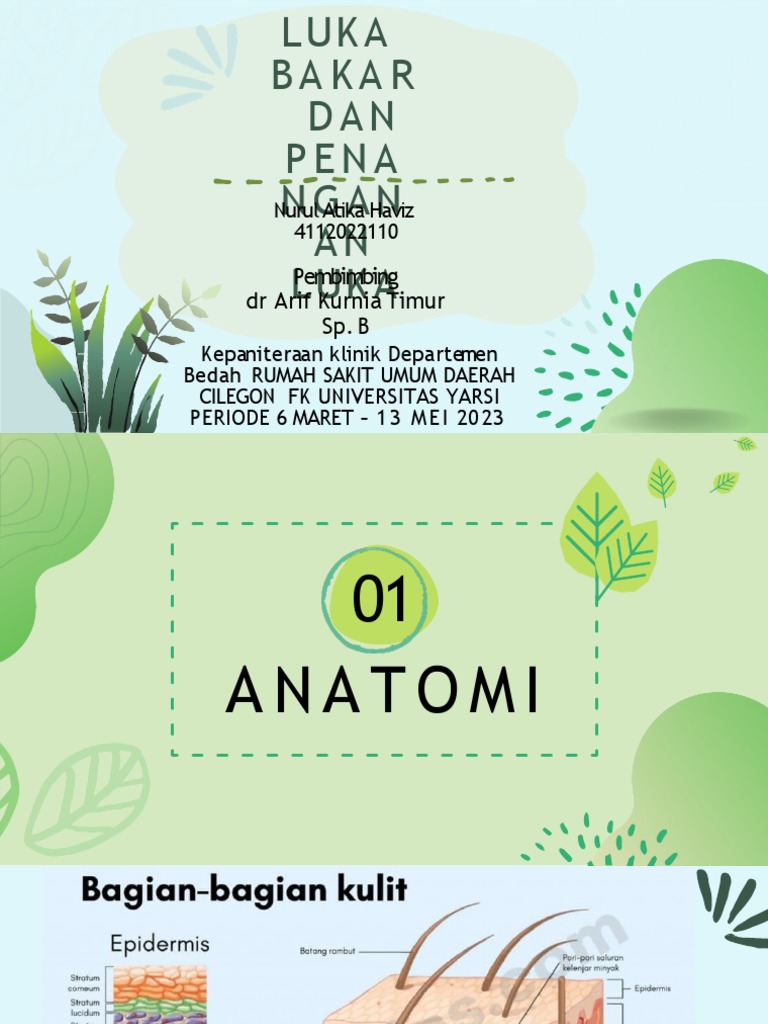 PPT LUKA BAKAR | PDF