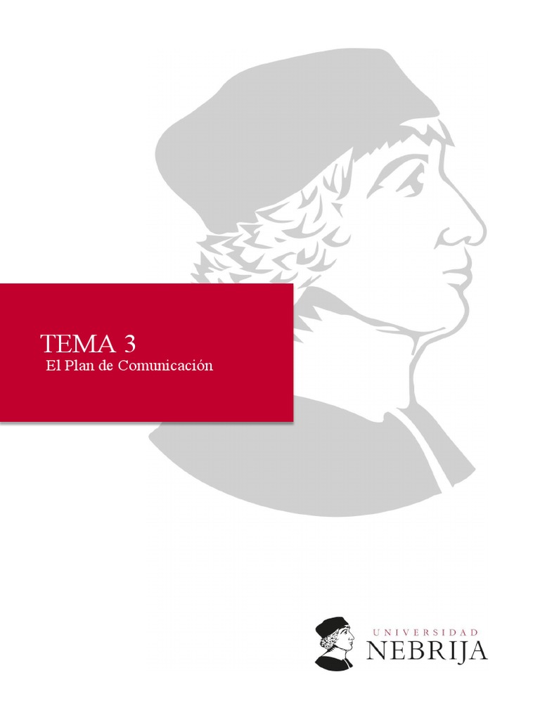 Unidad 3 - Técnicas RRPP - PLAN DE COMUNICACION PDF | PDF ...