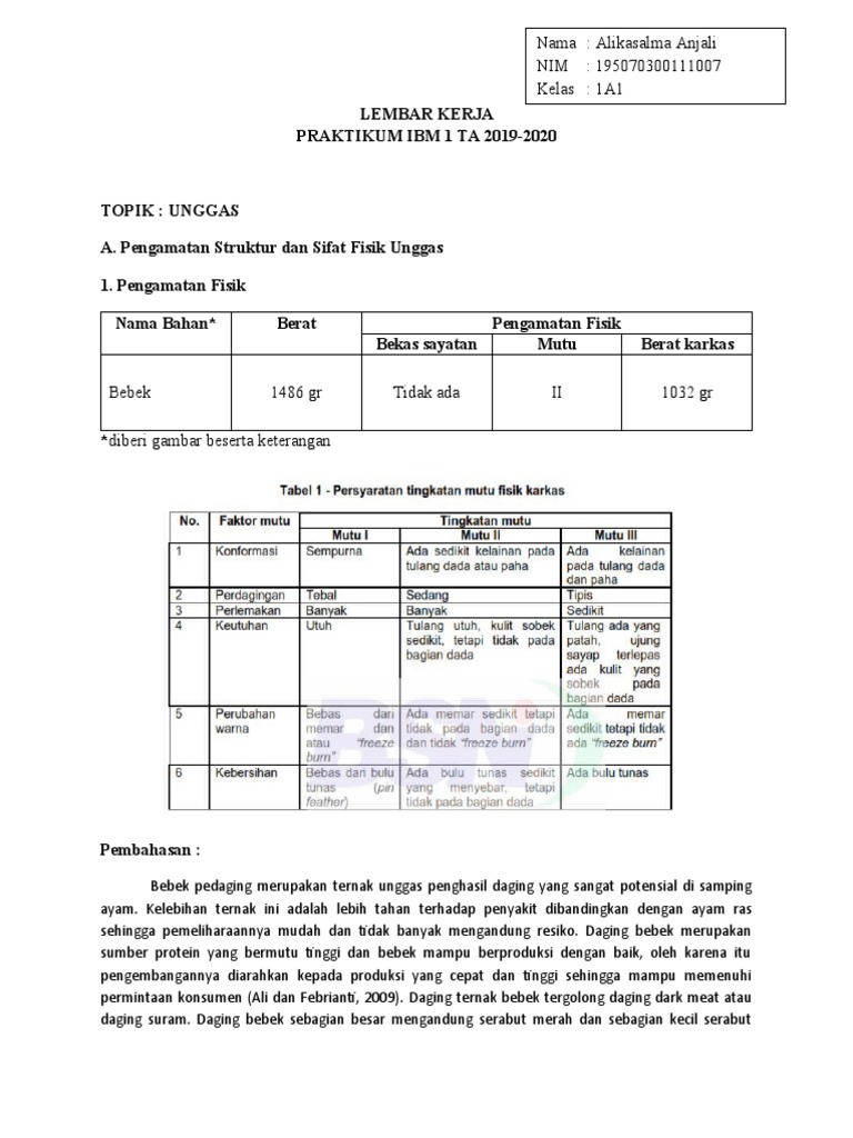 LAPORAN PRAKTIKUM UNGGAS - Alikasalma Anjali 1A1 195070300111007 | PDF
