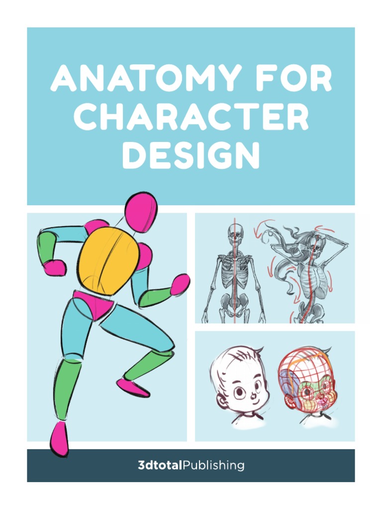 Anatomy For Character Design | PDF | Anatomy