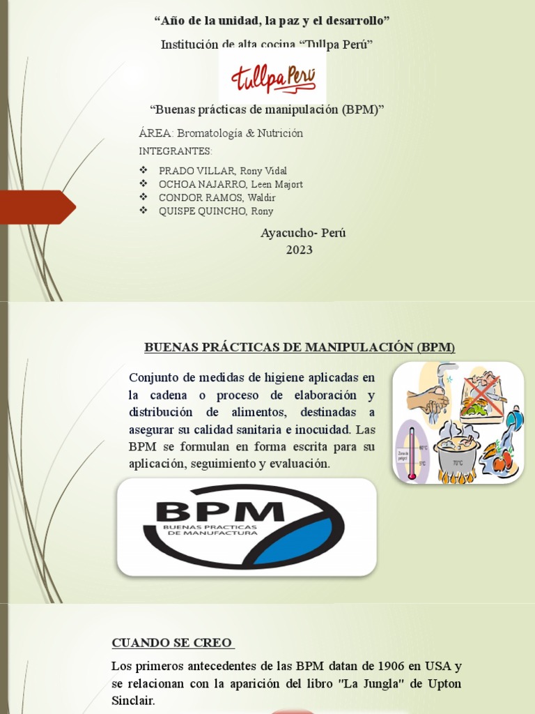 BPM Power Point | PDF