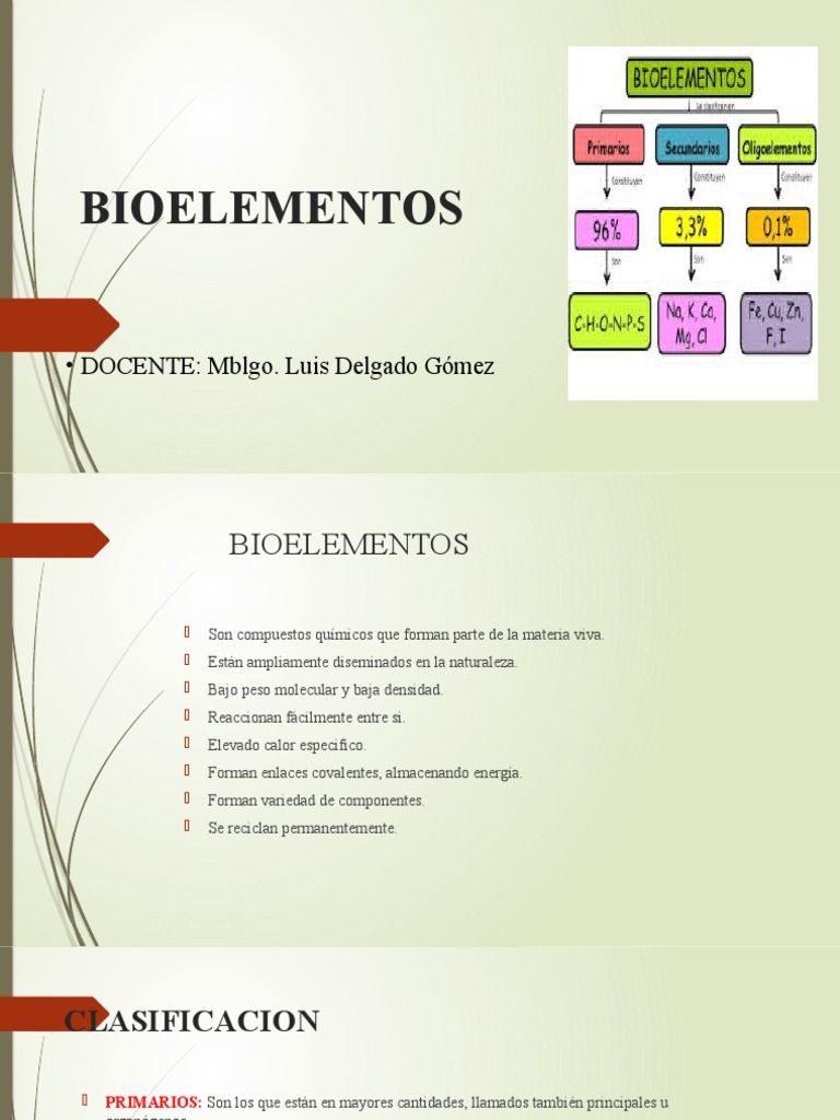 Importancia y Clasificación de Bioelementos | PDF