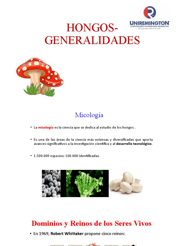 HONGOS- GENERALIDADES.pptx | PDF | Hongo | Plantas