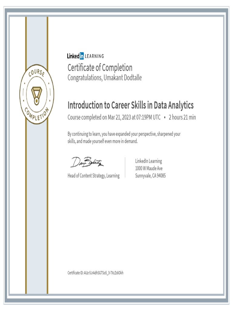 Data Analytics Skills Certificate | PDF