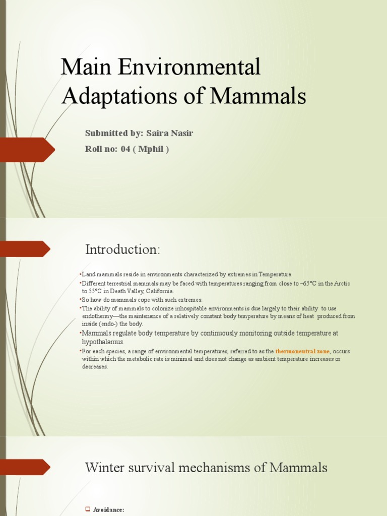 Main Environmental Adaptations of Mammals-1 | PDF | Thermoregulation ...