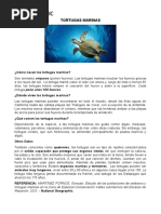 Ciclo de Vida de Las Tortugas Marinas | PDF | Tortuga marina | Tortuga