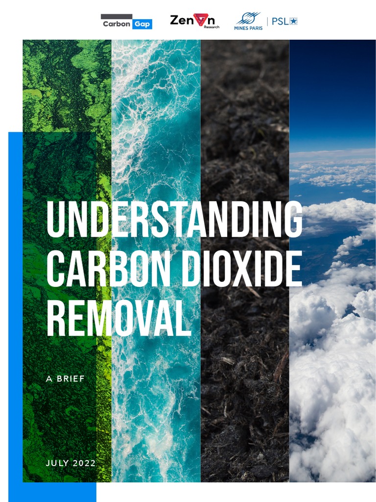 Carbon Dioxide Removal Techniques Explained | PDF | Climate Change ...