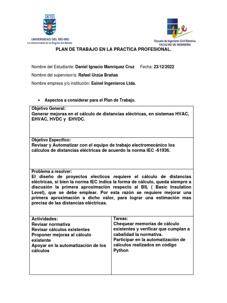 Anexo 2 PLAN DE TRABAJO EN LA PRACTICA PROFESIONAL | PDF