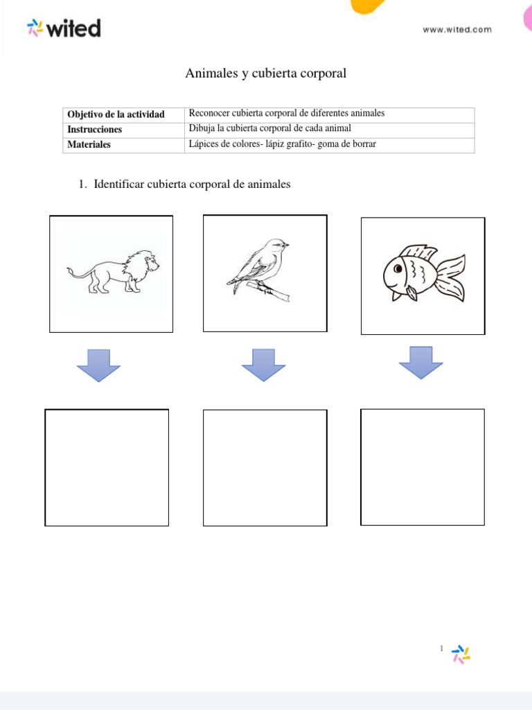 Identificar Cubierta Corporal de Animales | PDF