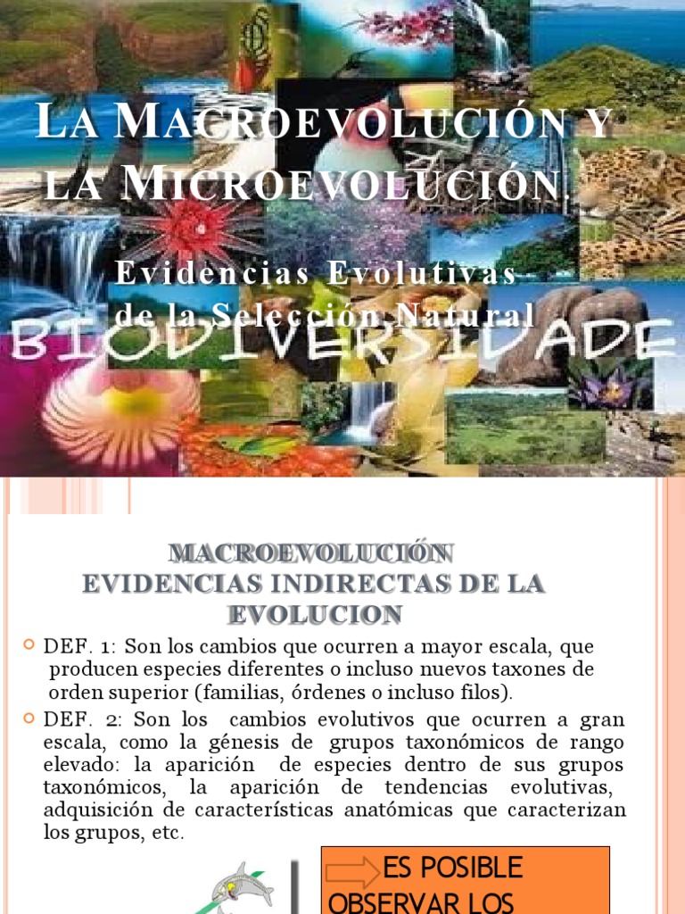 Macroevolución y microevolución | PDF | Evolución | Ciencias de la vida