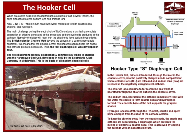 14 Hooker Cell Panel | PDF | Chlorine | Sodium