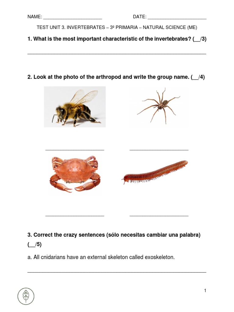Invertebrates Test for 3rd Grade Science | PDF | Invertebrate | Zoology