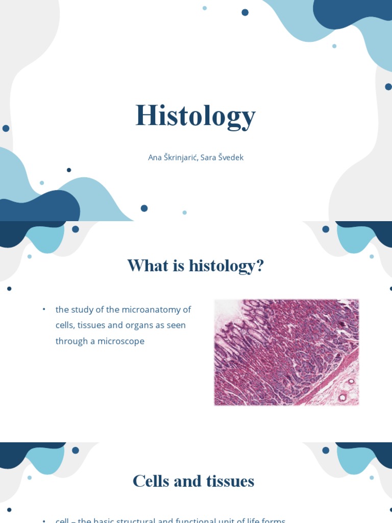 Histology | PDF | Histology | Histopathology