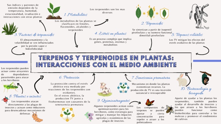 Terpenos y Terpenoides en Plantas Eq 5 | PDF | Biología | Bioquímica