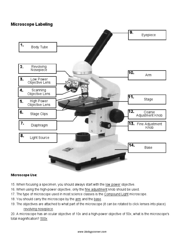 Microscope Basics for Students | PDF | Electrodynamics | Materials Science