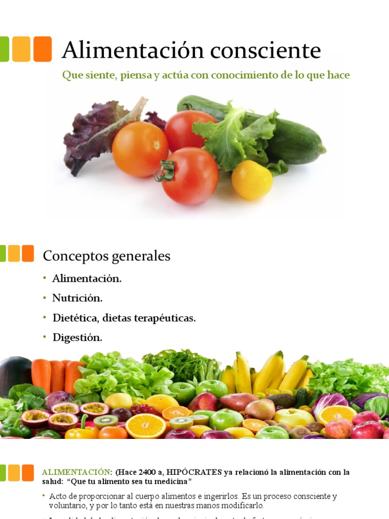 Alimentación Consciente | PDF