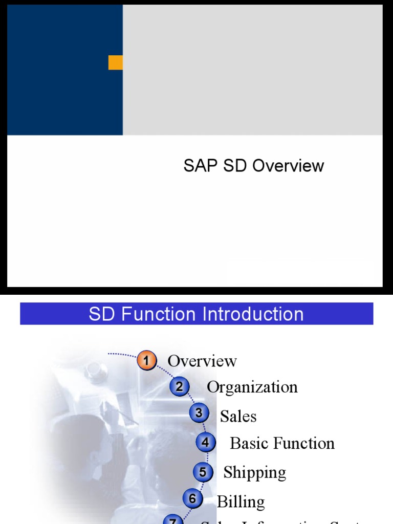 SAP SD Overview and Basic Functions | PDF