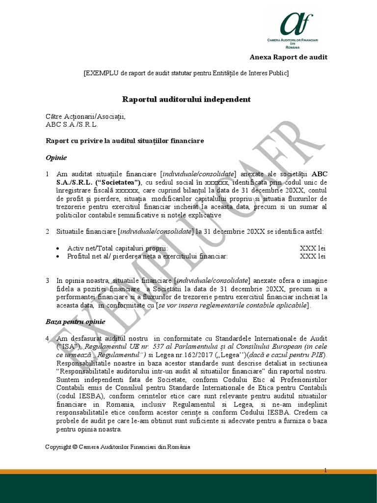 Model Raport de Audit | PDF