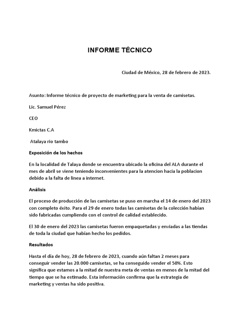 Modelo Informe Tecnico | PDF