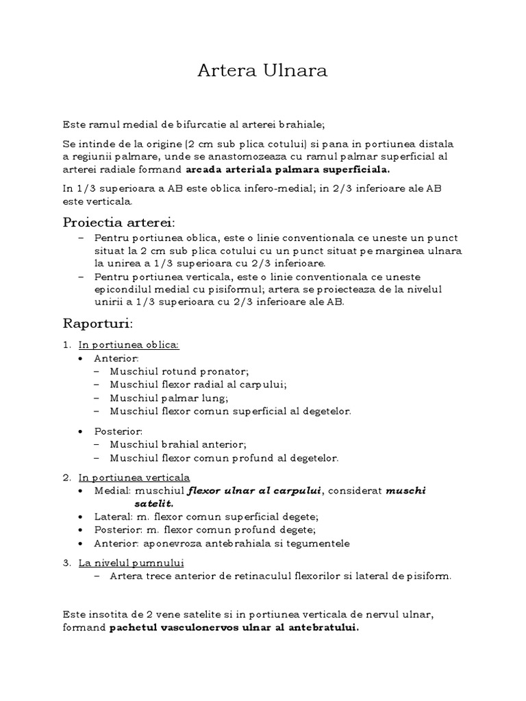 Artera Ulnara | PDF