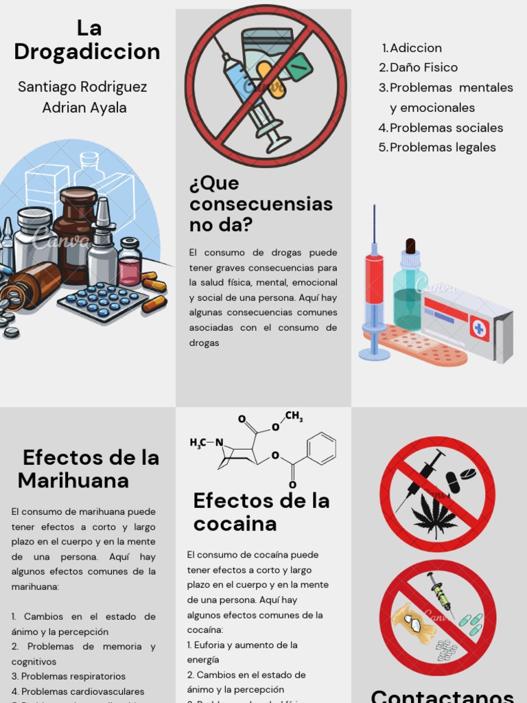 La Drogadiccion PDF | PDF