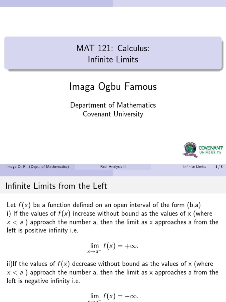 Infinite Limits in Calculus | PDF