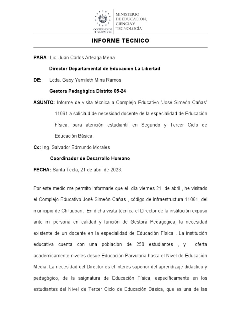 Informe Tecnico 11061 GP | PDF