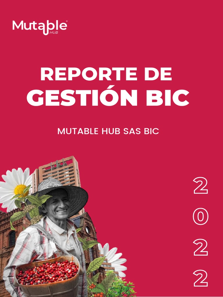 Reporte de Gestión BIC 2022 | PDF