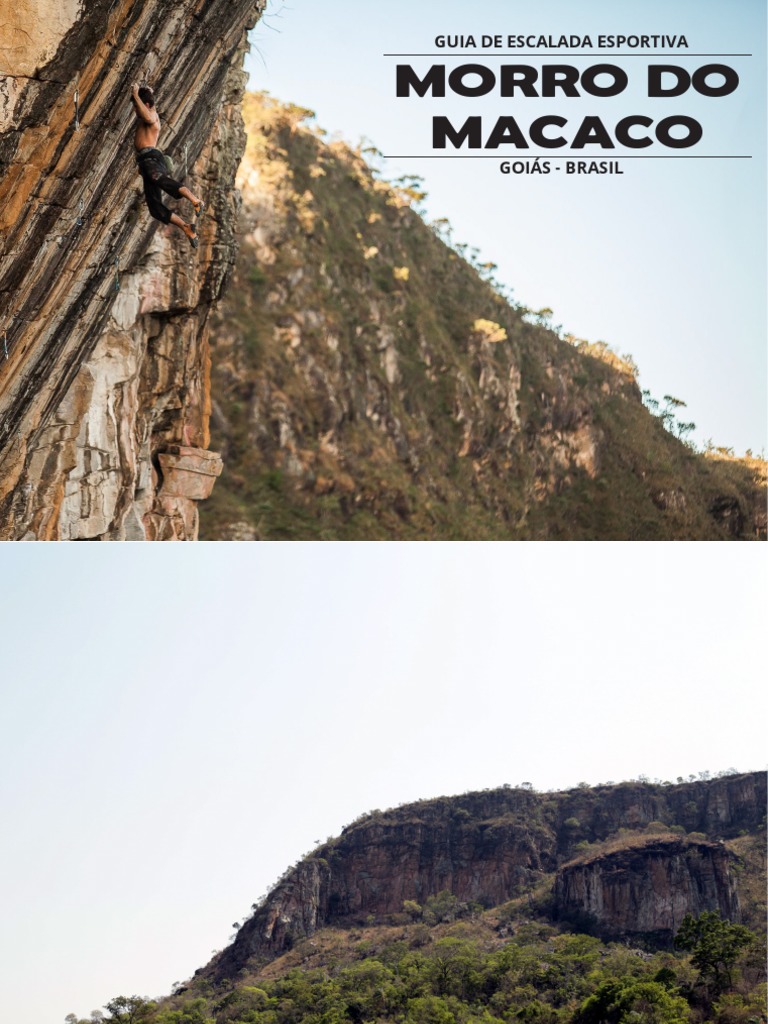 Macaco PDF | PDF