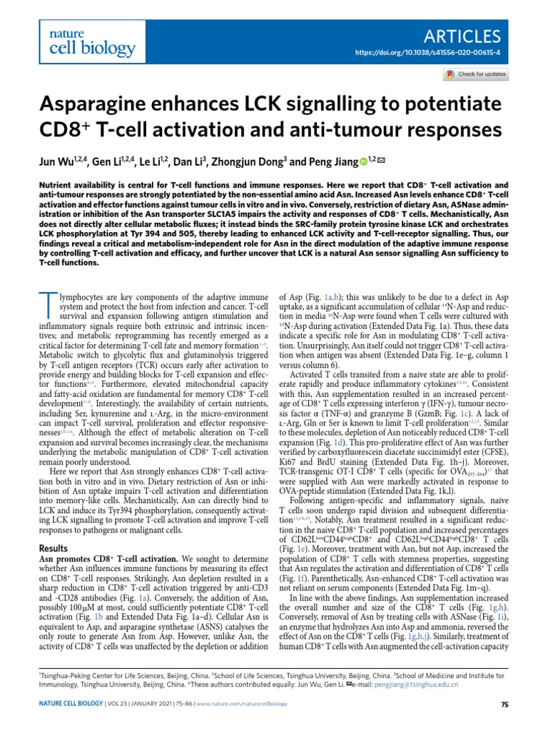 Asparagine Enhances LCK Signalling To Potentiate | PDF | T Cell ...
