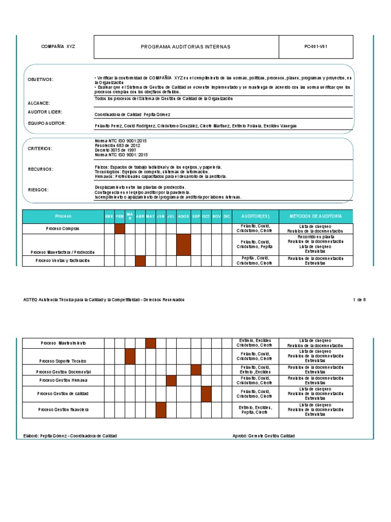 Formato de Programa y Plan de Auditoria | PDF