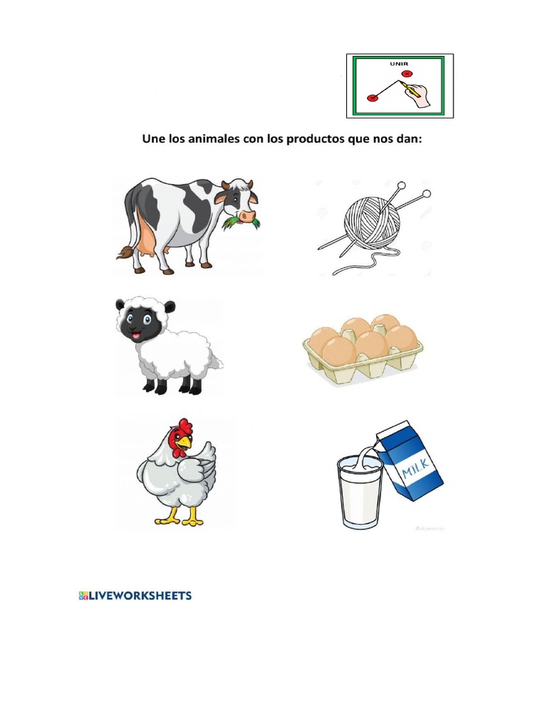 ACTIVIDAD Actividad Asociar Elementos | PDF