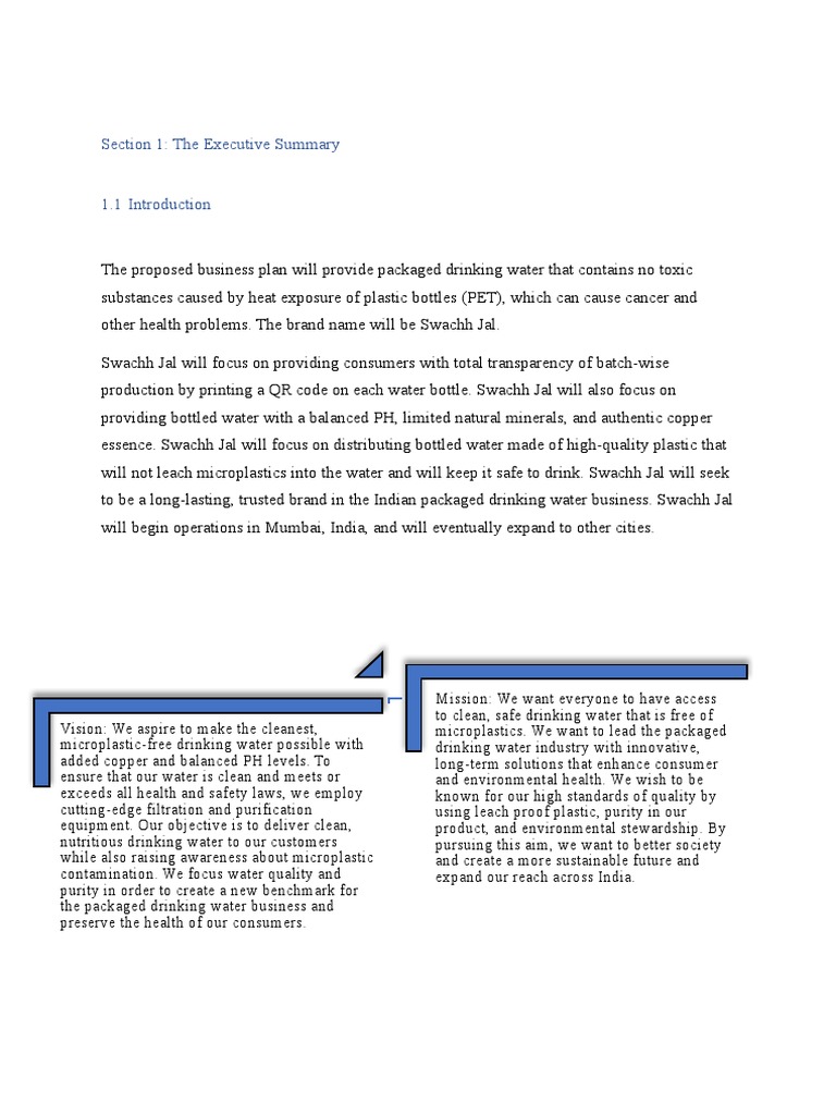 Professional Project First Draft | PDF