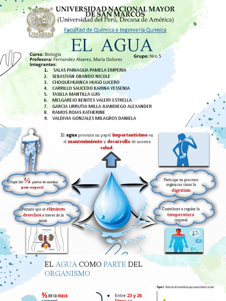 El Agua | PDF