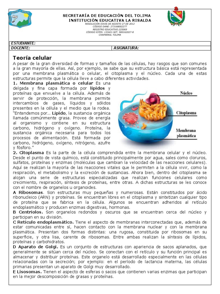 Guia CN Sexto Celula | PDF | Biología Celular) | Citoplasma