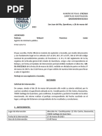 Signo de Puppe Werkgartner | PDF | Adultos jóvenes