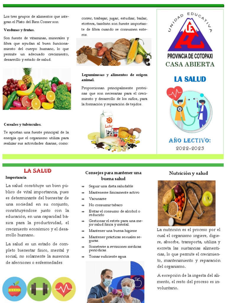 TRIPTICO LA SALUD | PDF | Alimentos | Nutrición