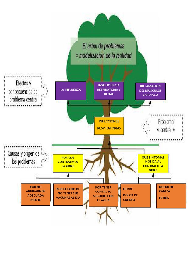 Arbol | PDF