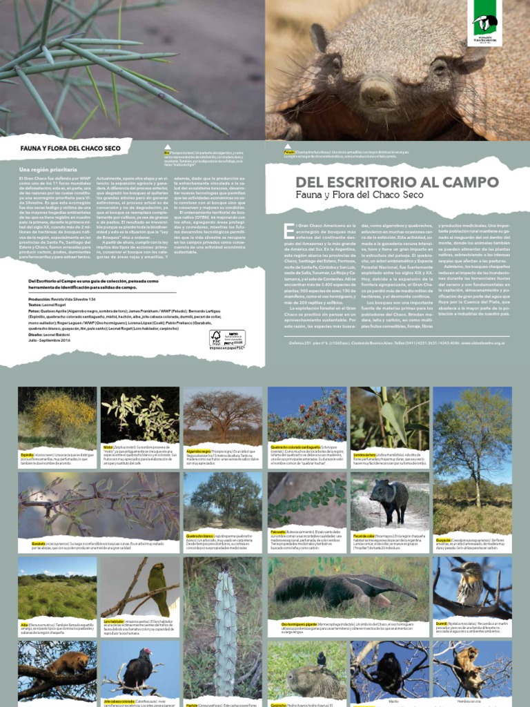 La fauna y flora emblemáticas del Gran Chaco Americano | PDF