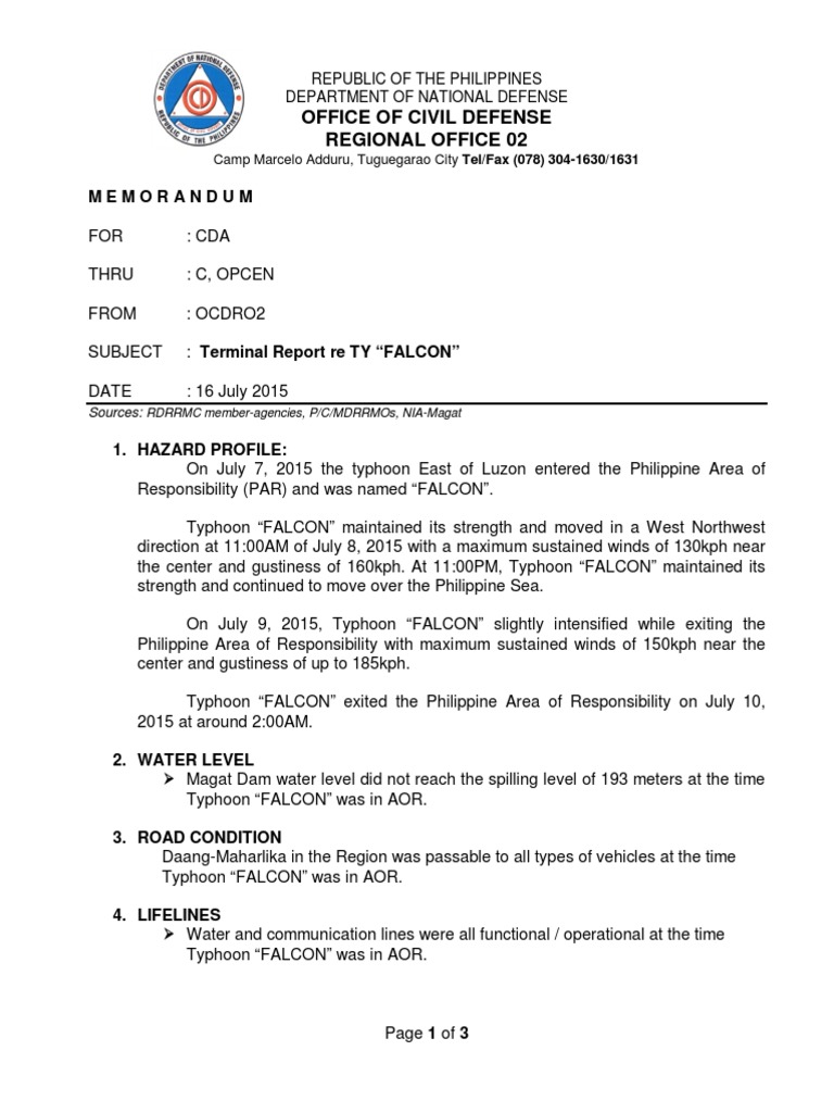 FALCON - Terminal Report PDF | PDF