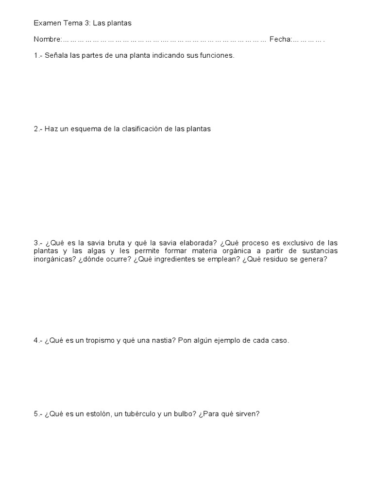 Examen Tema 3 Las Plantas | PDF