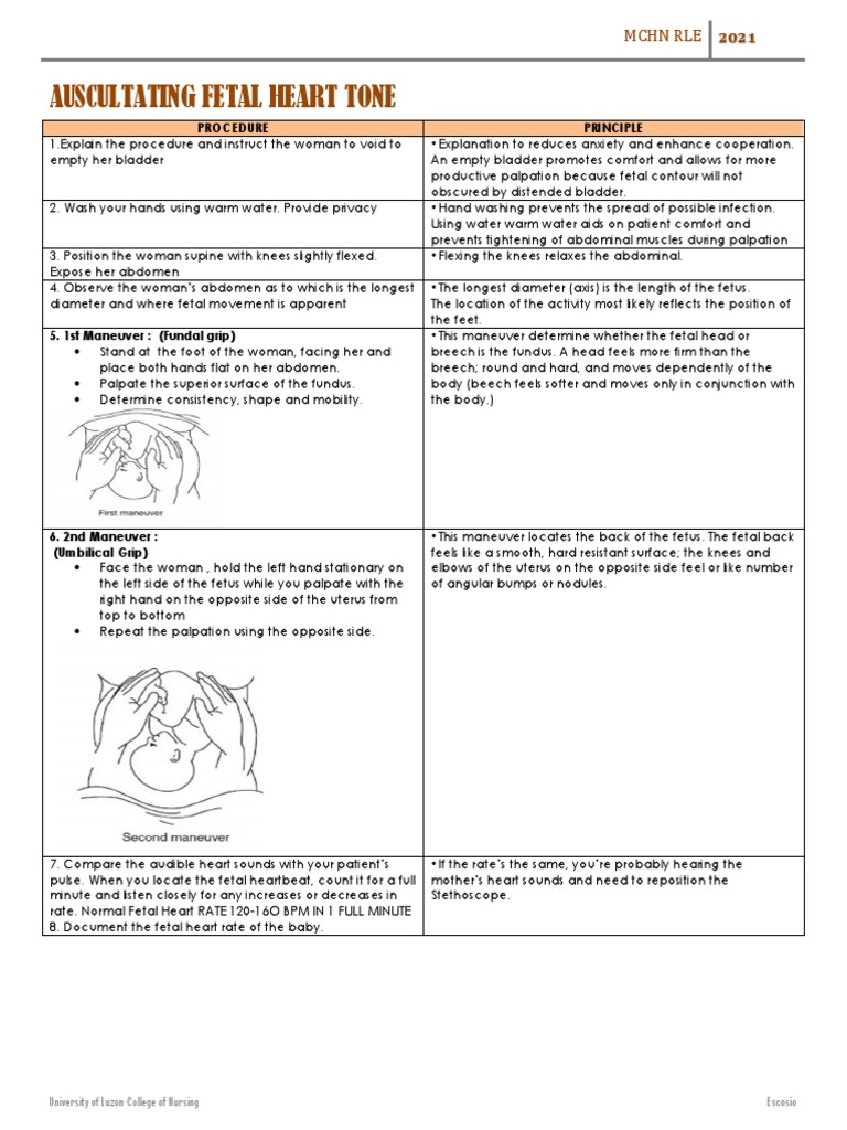 Auscultating Fetal Heart Tone PDF | PDF | Fetus | Uterus