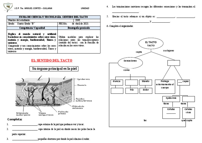 El Sentido del Tacto en la Piel | PDF